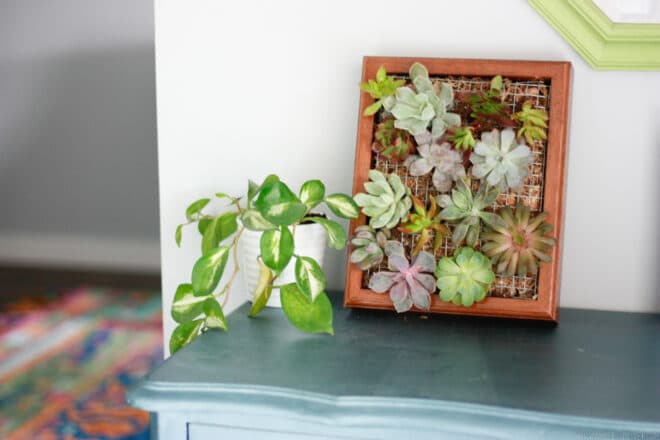 Vertical Garden - DIY Succulent Wall Planter