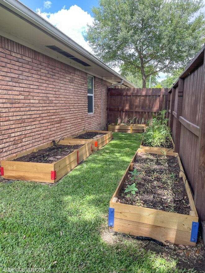 DIY Raised Garden Beds - Amber Oliver