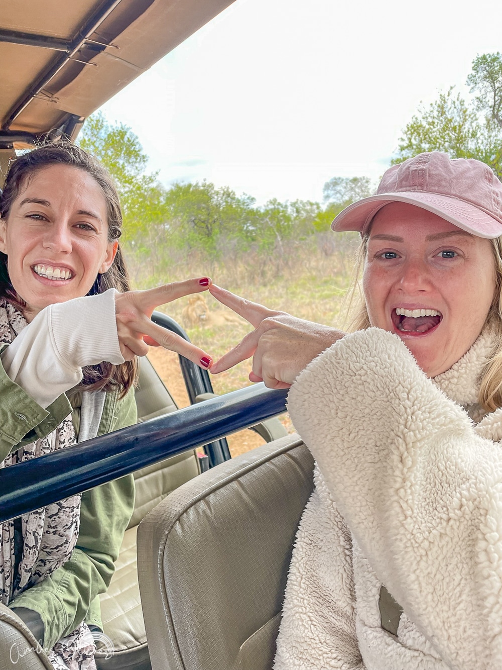Our South Africa Safari - Amber Oliver