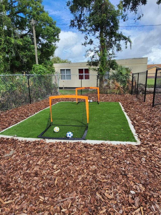 Backyard Ideas using Turf